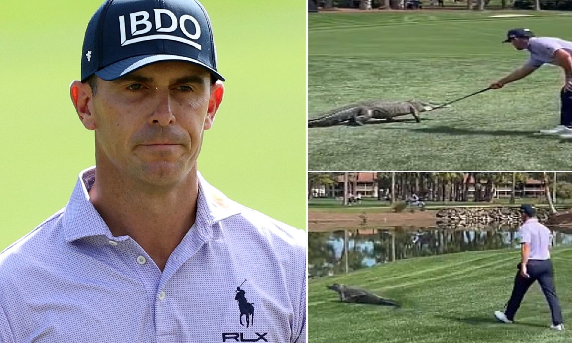 Billy Horschel heroically shepherds an alligator off Florida golf ...