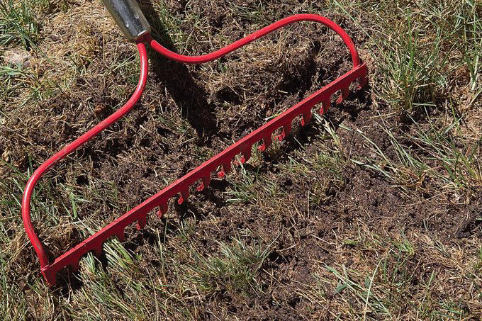 13 Tips for Getting Rid of Crabgrass for Good