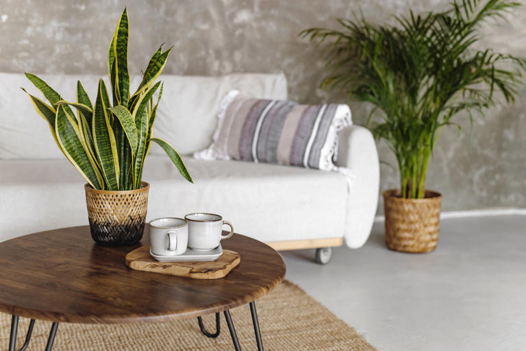 How to Create the Perfect Indoor Temperature Year-Round