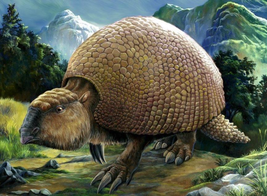 Tatus gigantes pré-históricos são encontrados em fazenda na Argentina