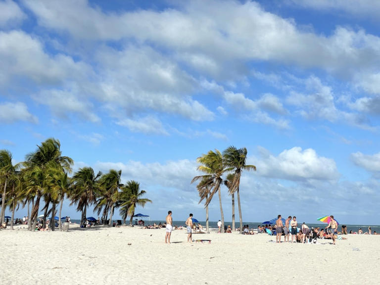 Things to do in Miami with kids: A weekend getaway for all ages