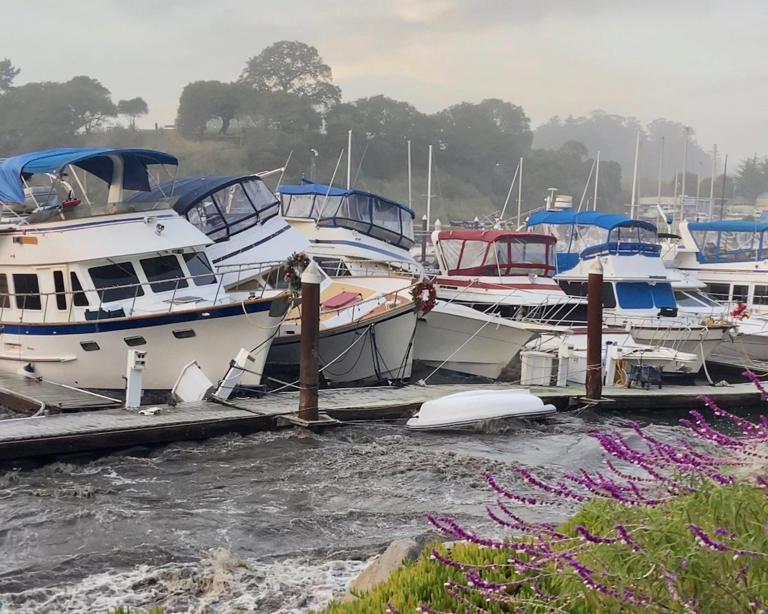 Santa Cruz Harbor repairs are a work in progress | Fish Rap
