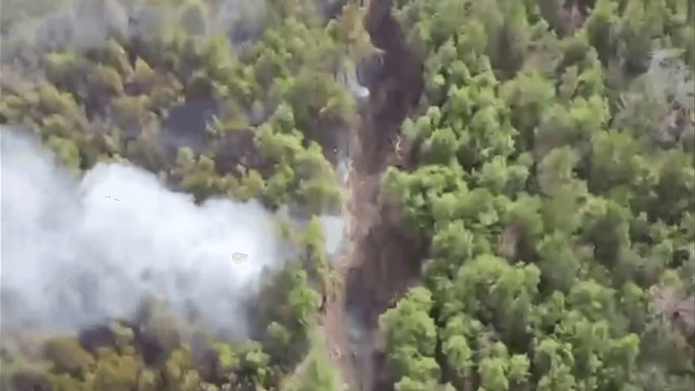 SC Forestry Commission issues 'Red Flag Alert' for outdoor burning