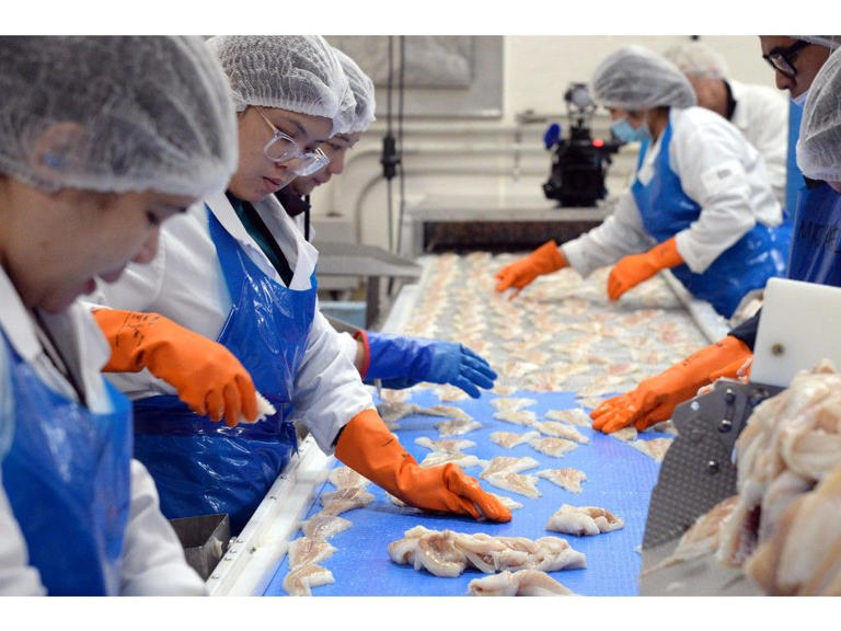 A long time coming: Fish plant in Arnold’s Cove processes the first NL ...