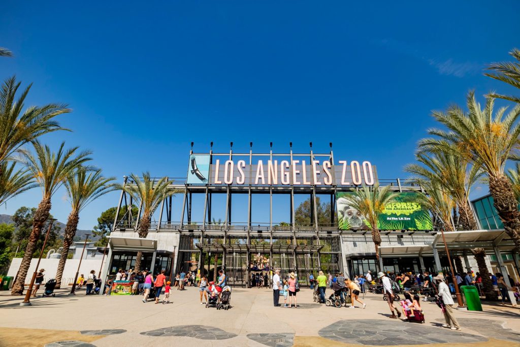 LA Zoo Non-Profit Subpoenaed for Misusing $50M