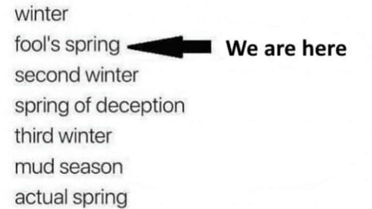 'Fool's spring' makes its usual February debut in western Washington