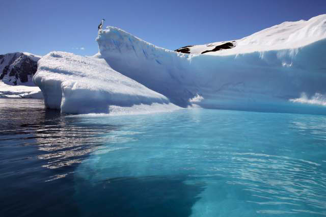 Scientists make astounding discovery beneath Antarctica's floating ice ... Scientists make astounding discovery beneath Antarctica's floating ice ...