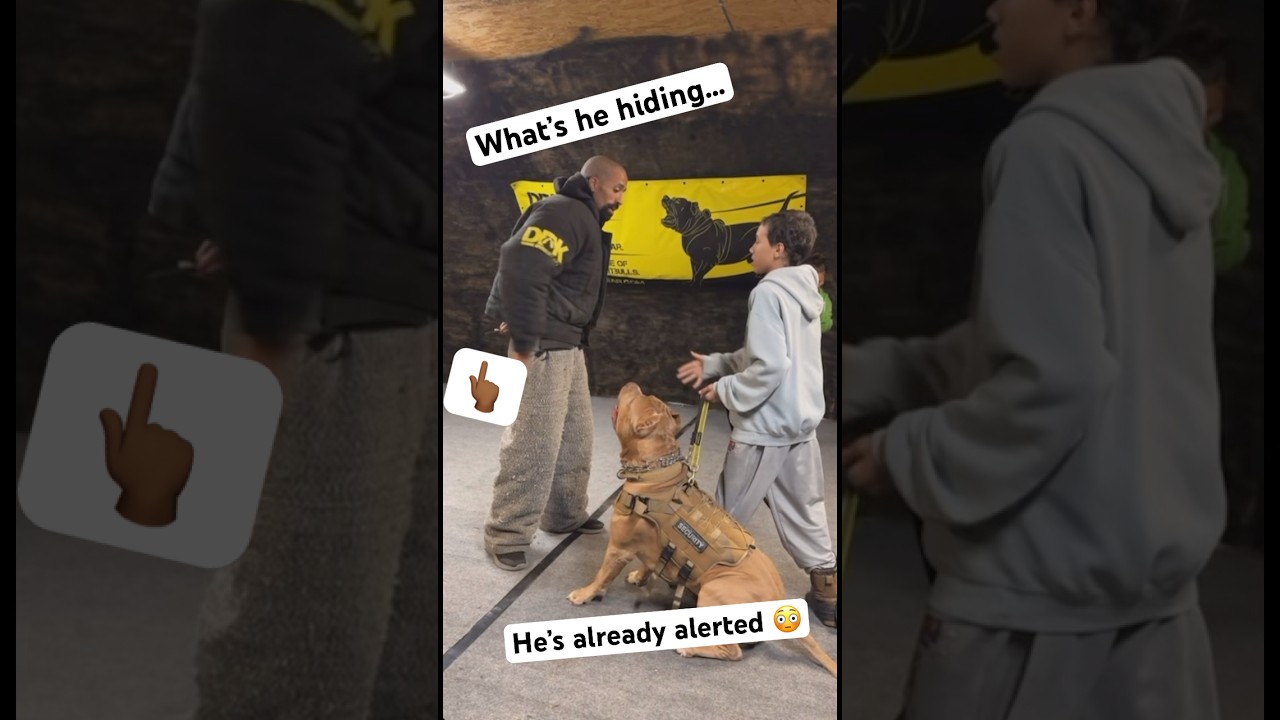 Advanced training helps a young dog reach a new level