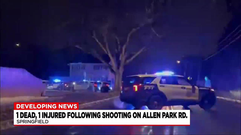 1 dead, 1 injured in Springfield shooting