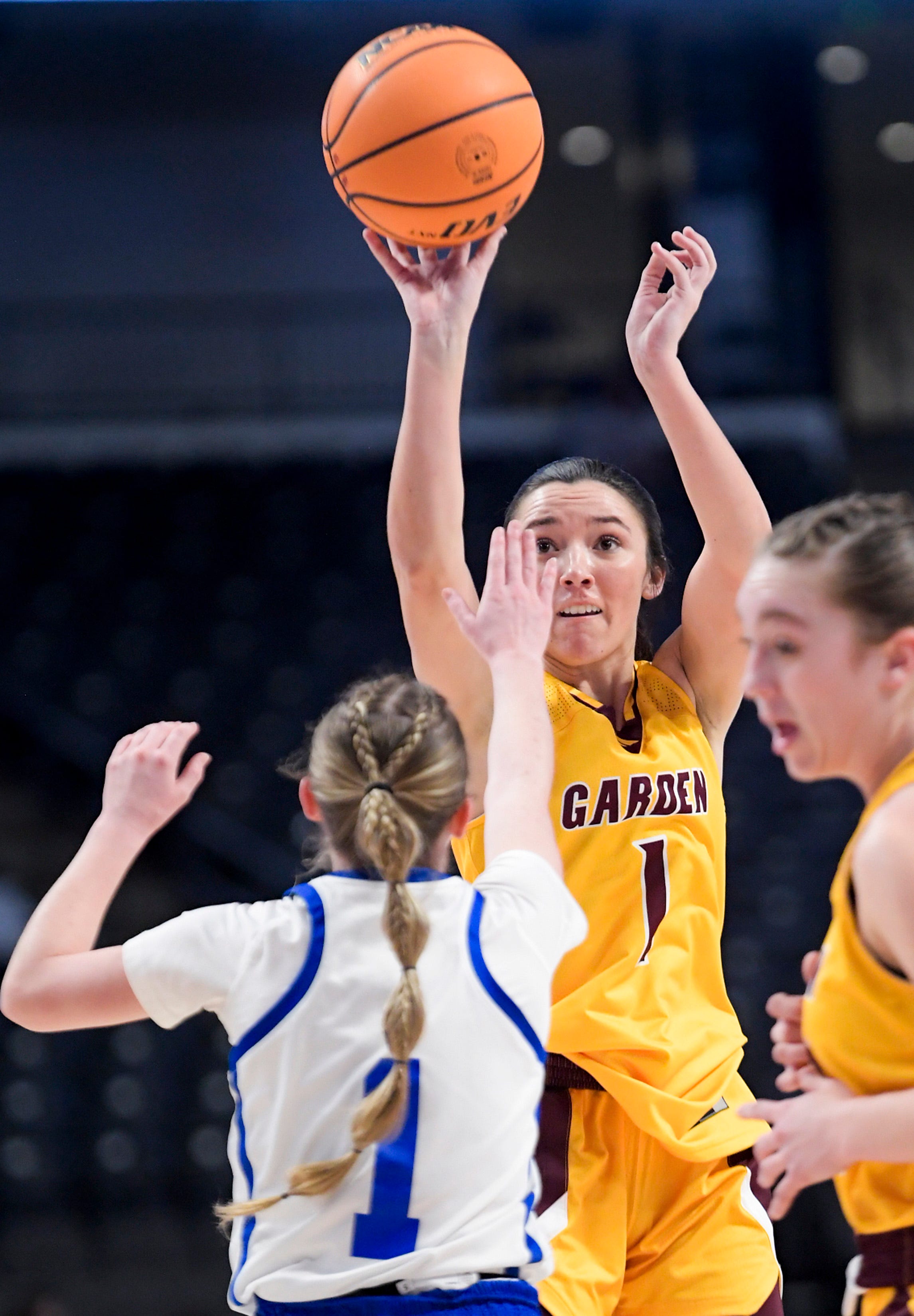 AHSAA Basketball Championship: Spring Garden, Ace Austin wins third ...