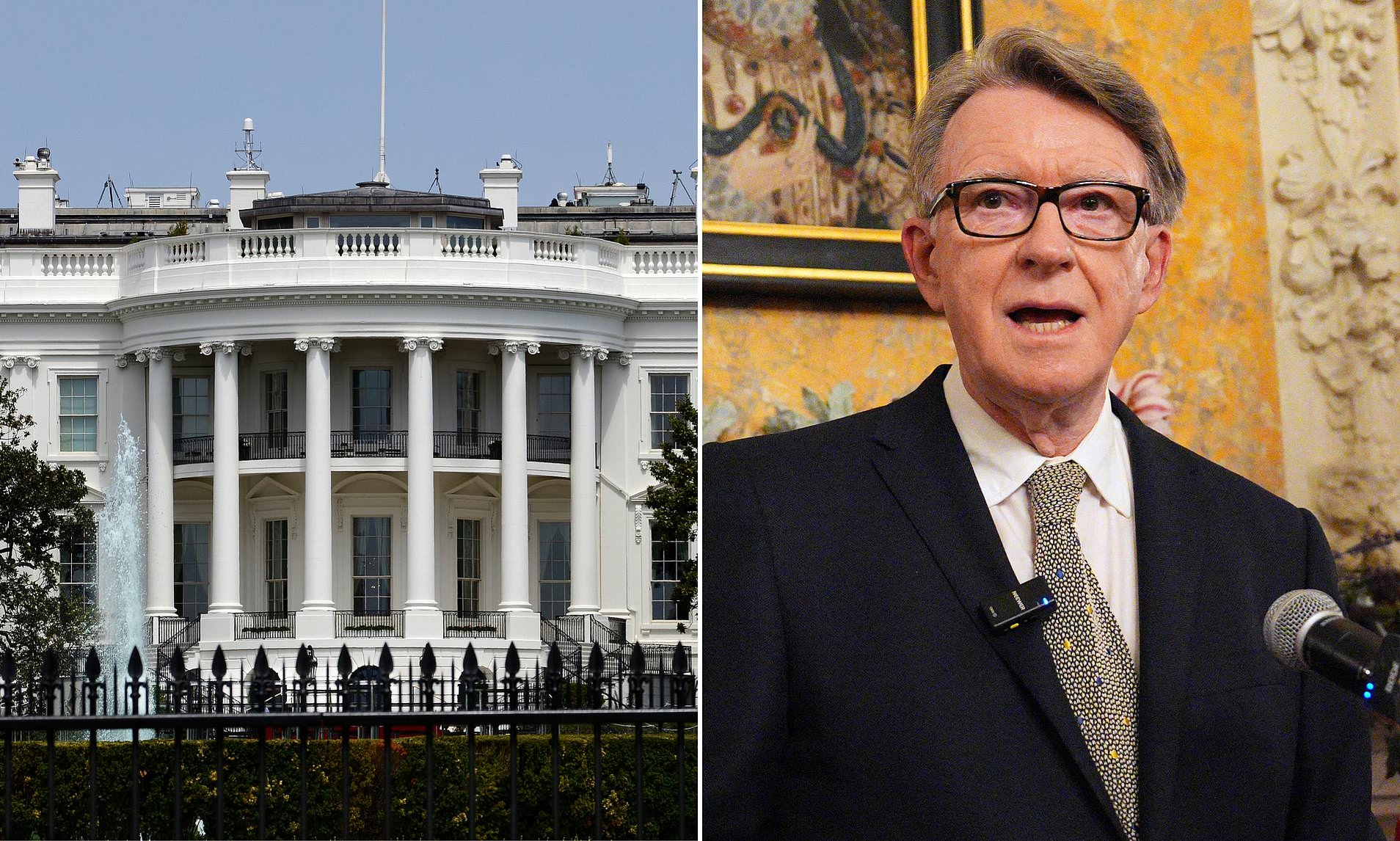 All eyes on Peter Mandelson as he makes DC debut at White House