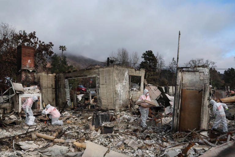 Mel Gibson says Gavin Newsom doesn’t ‘give a damn’ about California ...