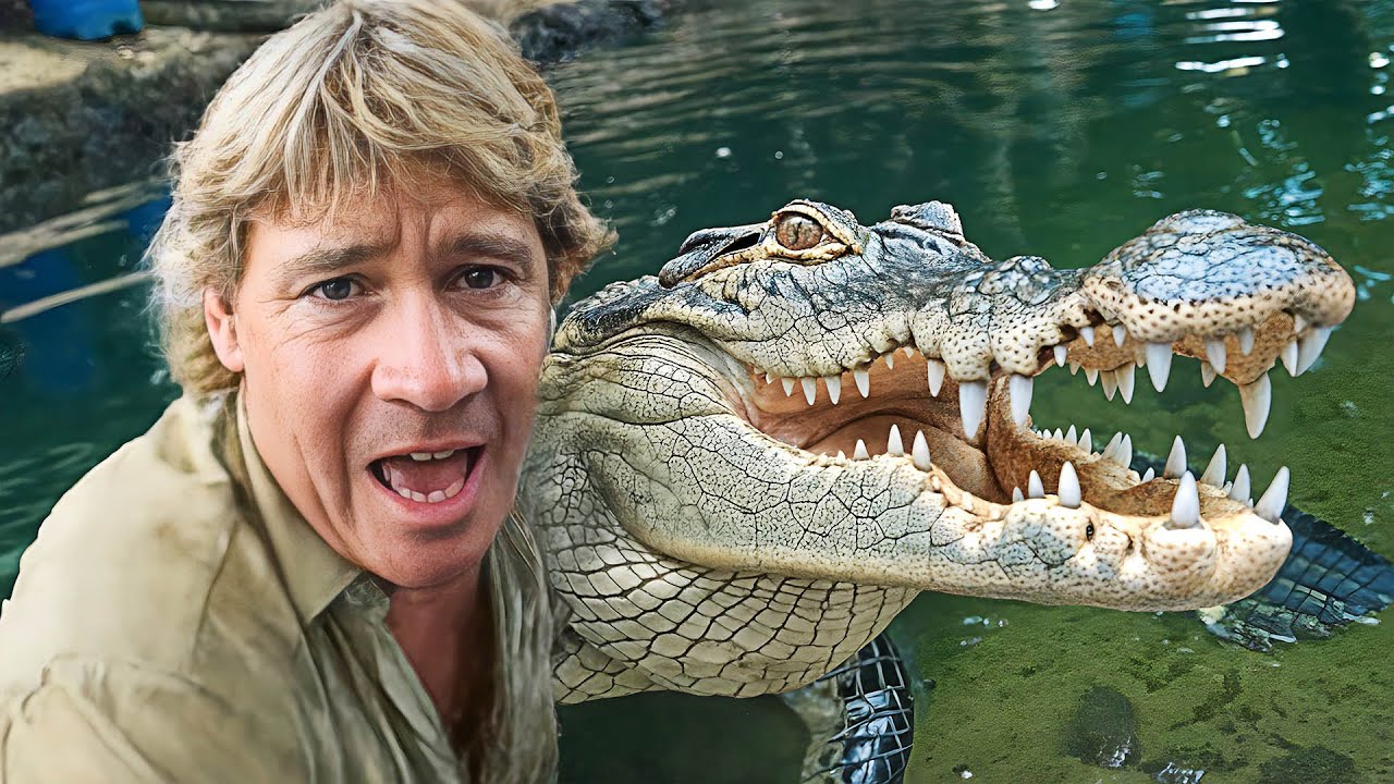 The Untold Story Behind Steve Irwin’s Fatal Stingray Attack