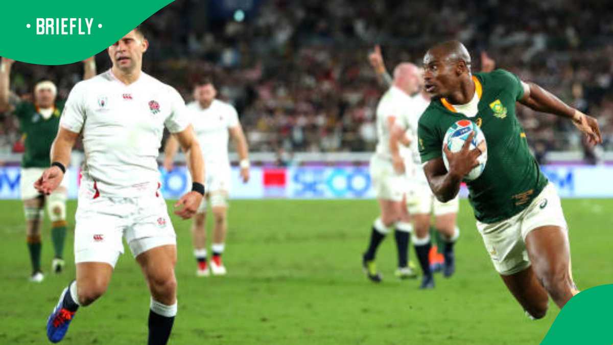 Makazole Mapimpi makes history with 33rd try in 47 Test matches