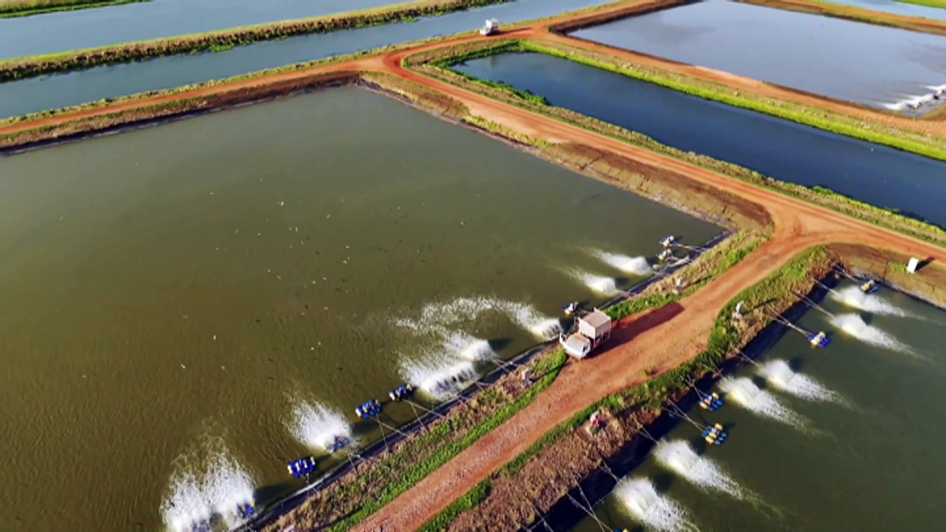 Decades-long project to create the country’s largest Barramundi farm