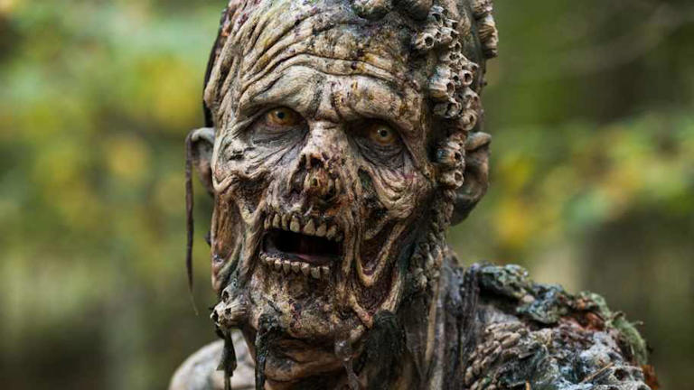 Popular Walking Dead filming site named one of the Best U.S. Beaches in ...