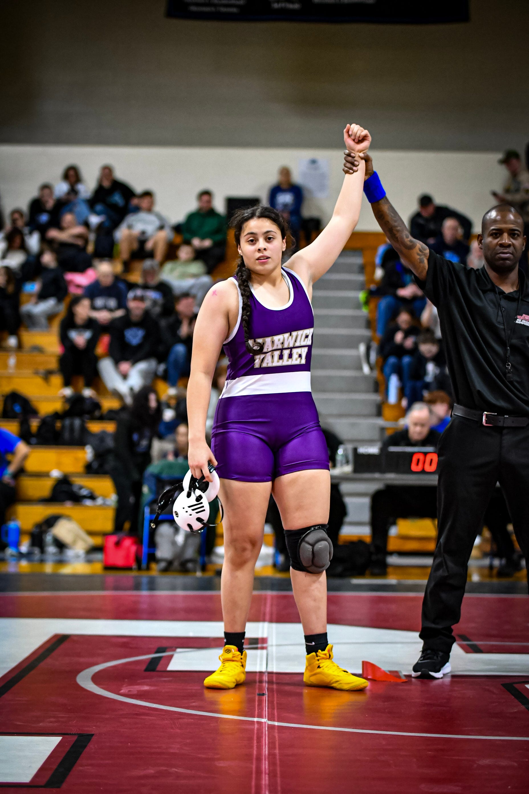 Charlie Wylie of Port Jervis, Minisink Valley earn top awards at ...