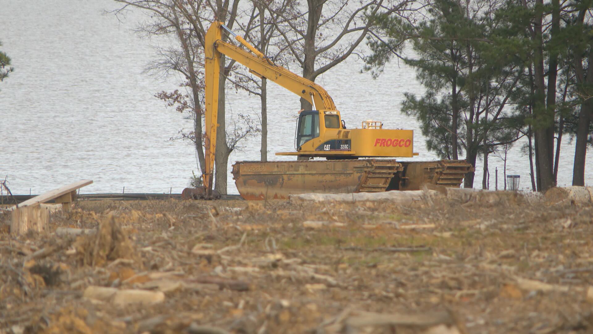 Efforts continue to cut down and clean up dead trees in Rankin ...