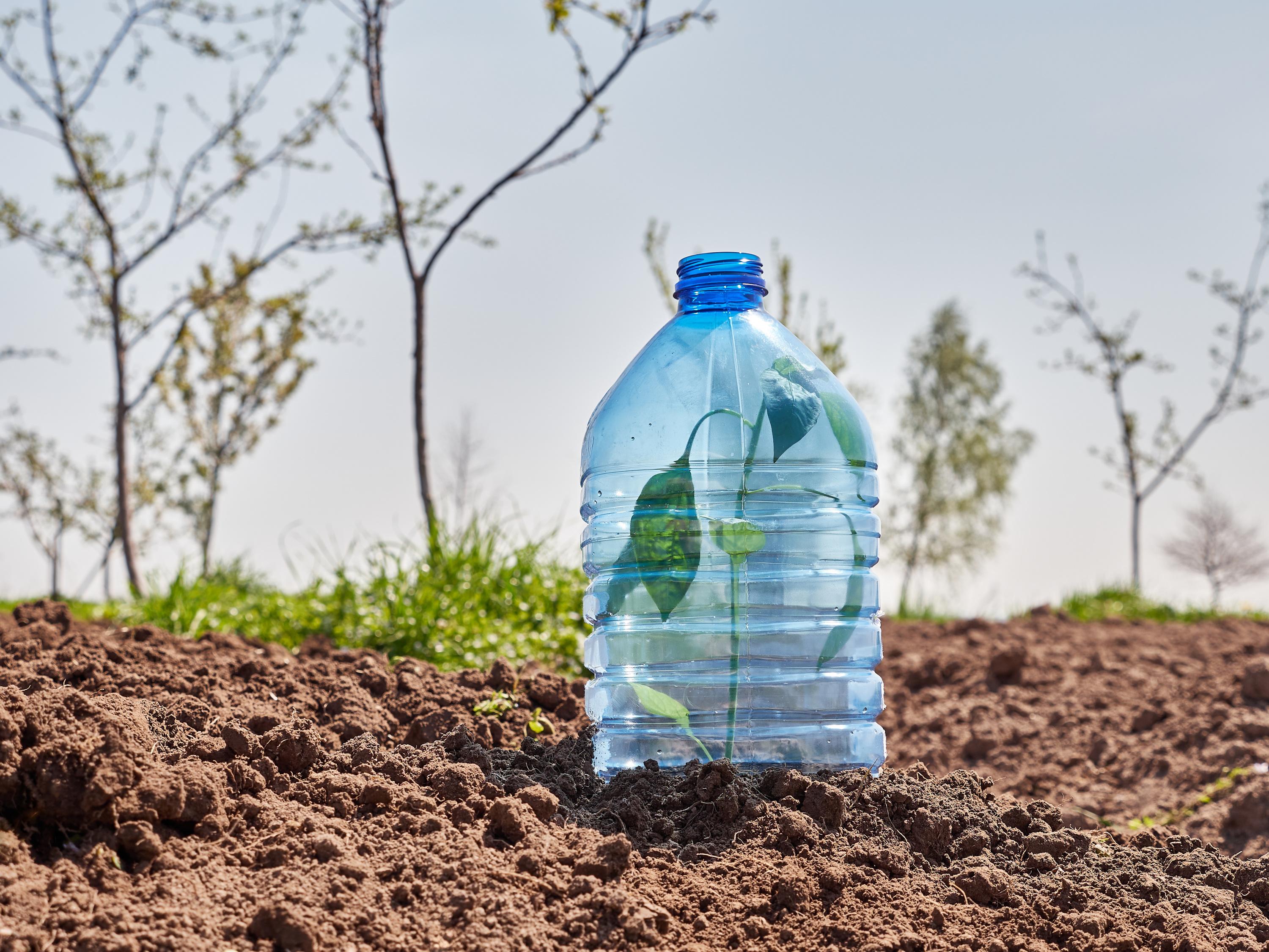 5 objets du quotidien à utiliser comme outils de jardinage