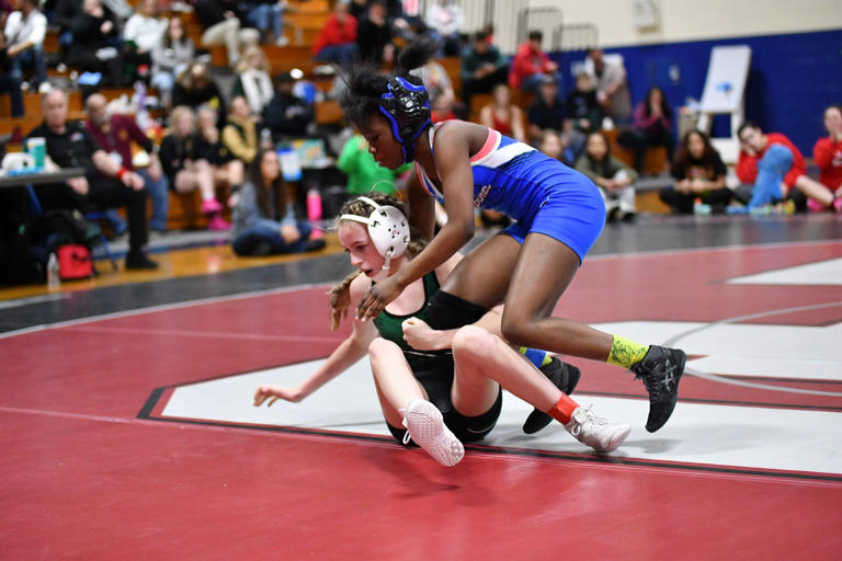 Charlie Wylie of Port Jervis, Minisink Valley earn top awards at ...