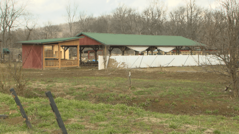 Fender’s farm set to reopen in the fall thanks to work from volunteers