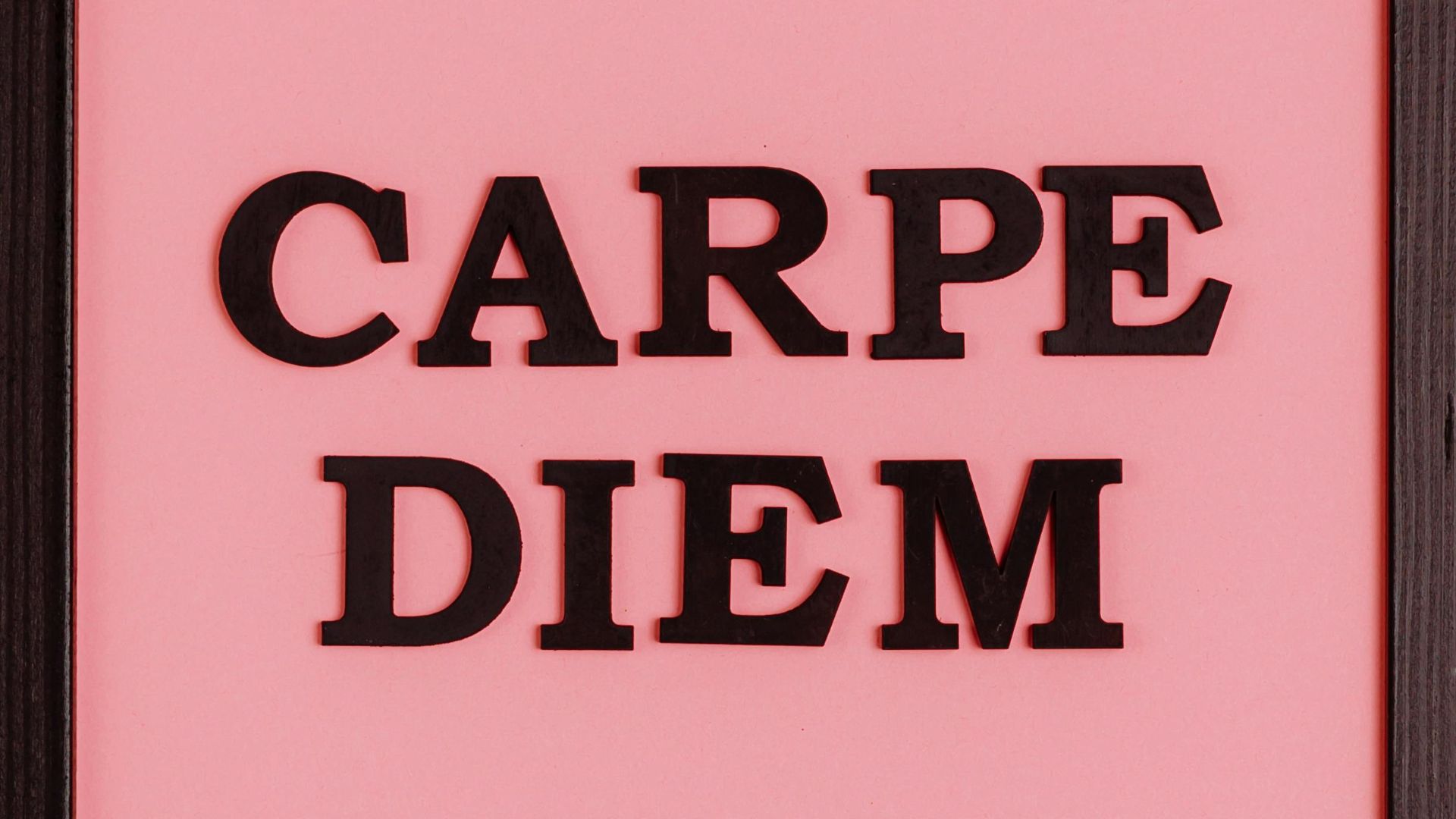 20 Common Latin Phrases & Their Ancient Origins