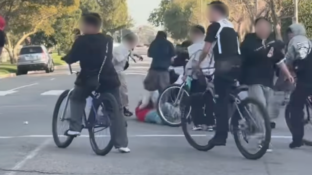 Two teen bicyclists arrested for brutal beating on West LA street