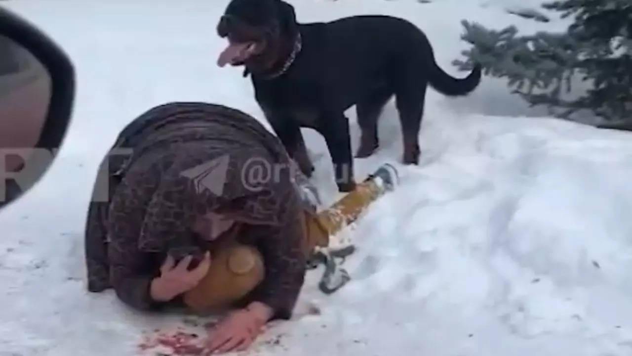 Watch: How a mother shielded her five-year-old from deadly rottweiler ...