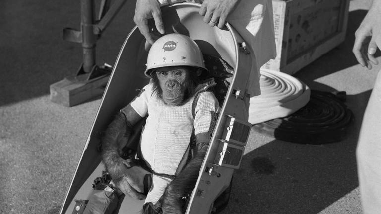 The Story of How Ham the Astrochimp Went to Space