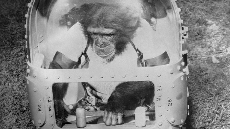 The Story of How Ham the Astrochimp Went to Space
