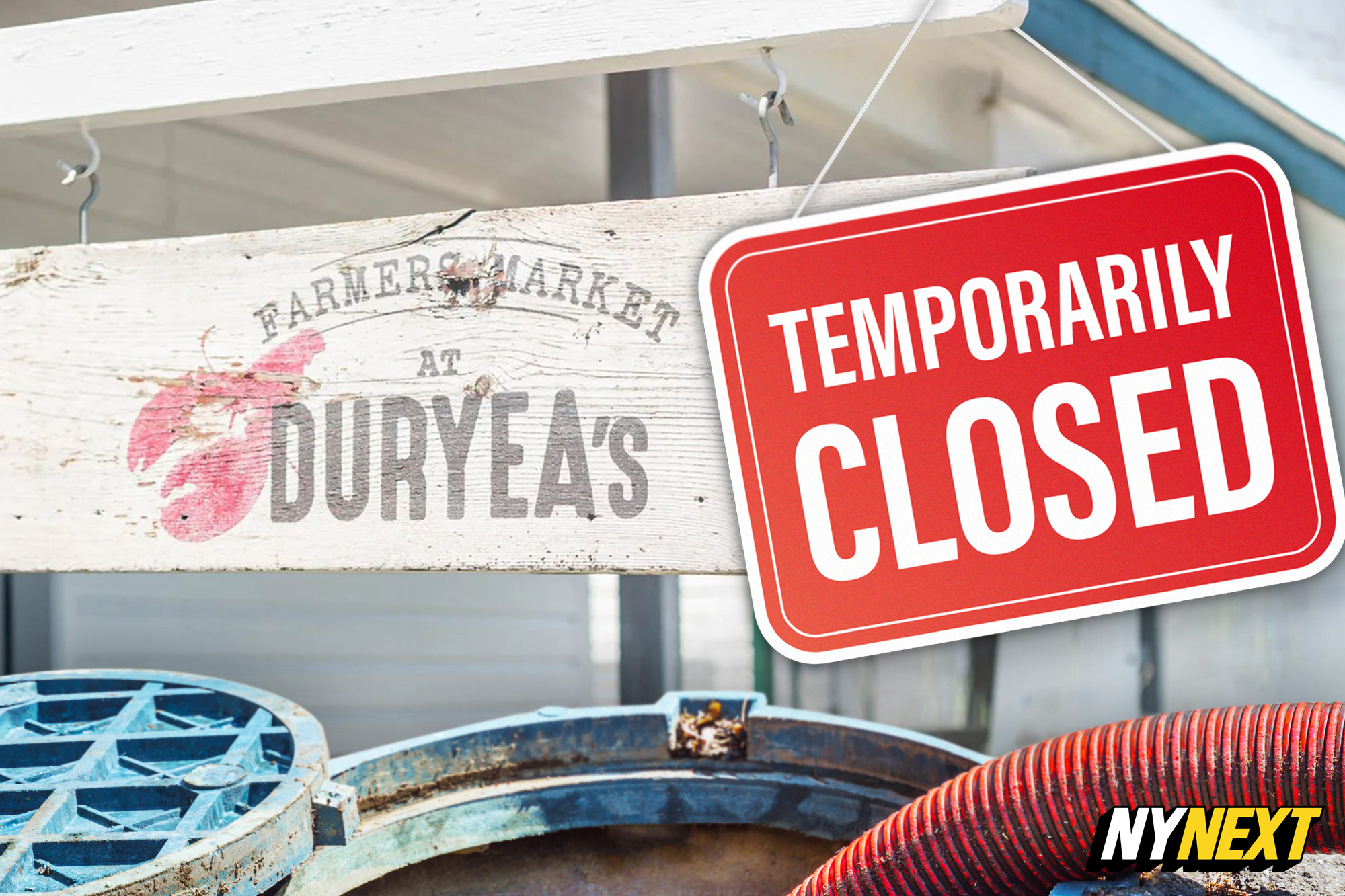 Montauk’s $100 lobster salad may be latest casualty in battle between ...