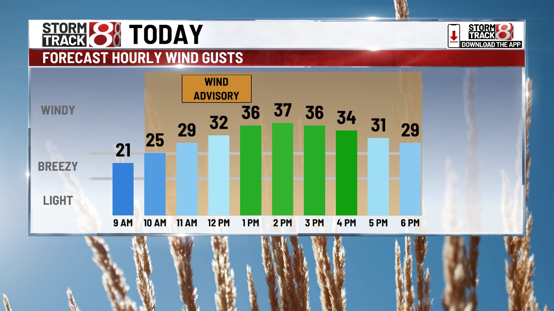Wind advisory in central Indiana: Gusts over 45 mph, isolated gusts may ...