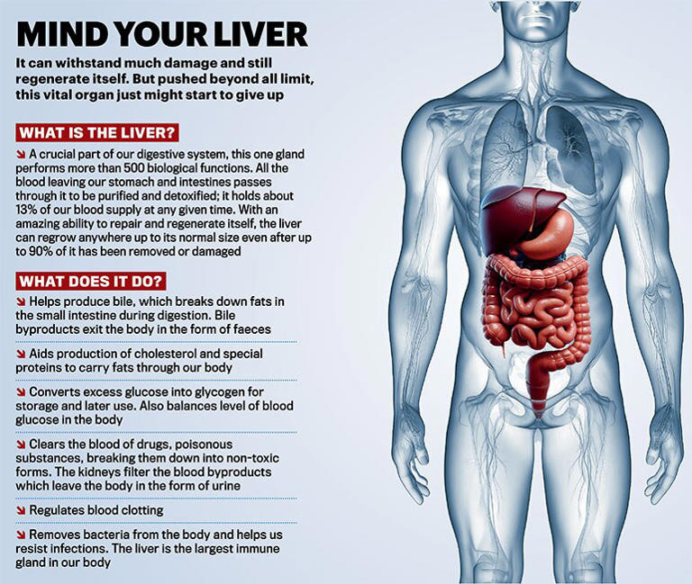 Liver disease | The hidden danger