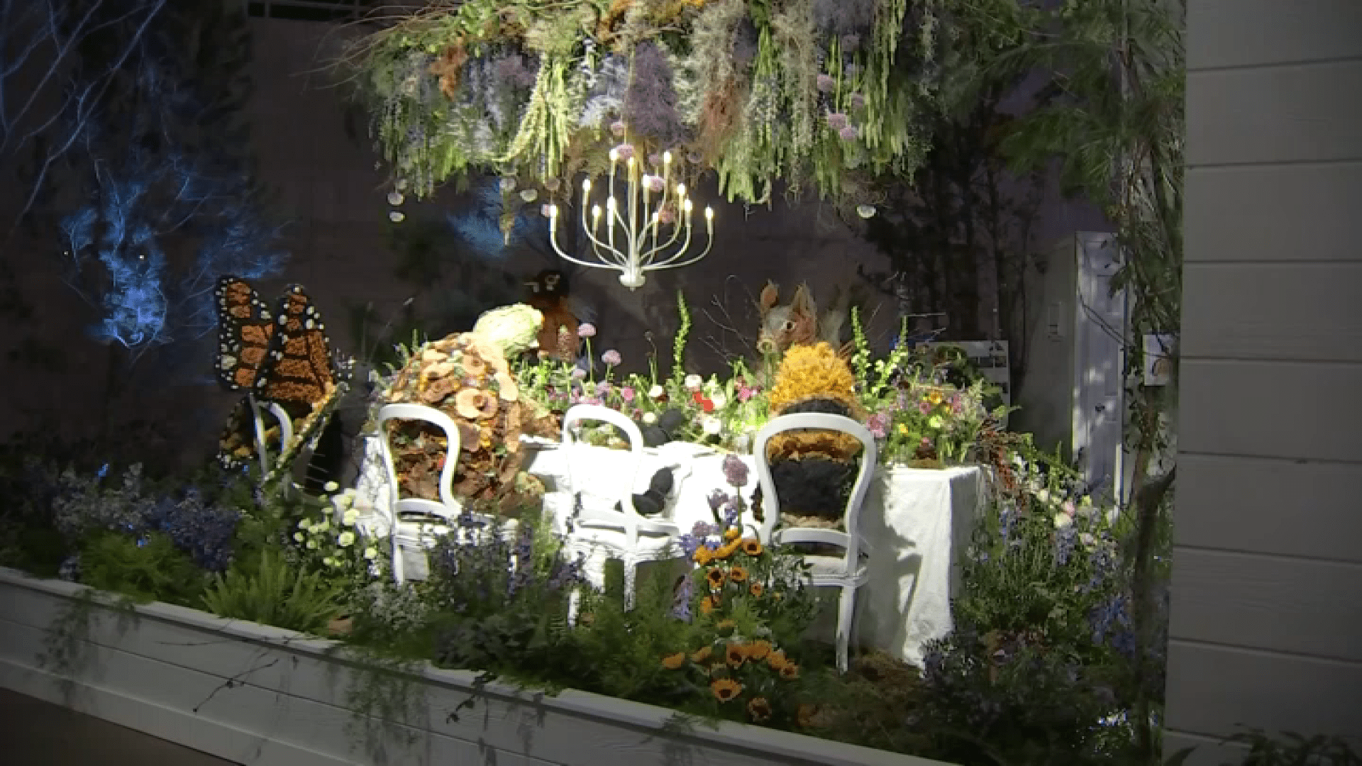 ‘Gardens of Tomorrow' bloom at 2025 Philadelphia Flower Show: Your guide