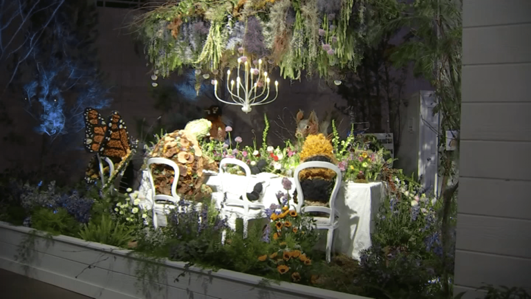 ‘Gardens of Tomorrow' bloom at 2025 Philadelphia Flower Show: Your guide