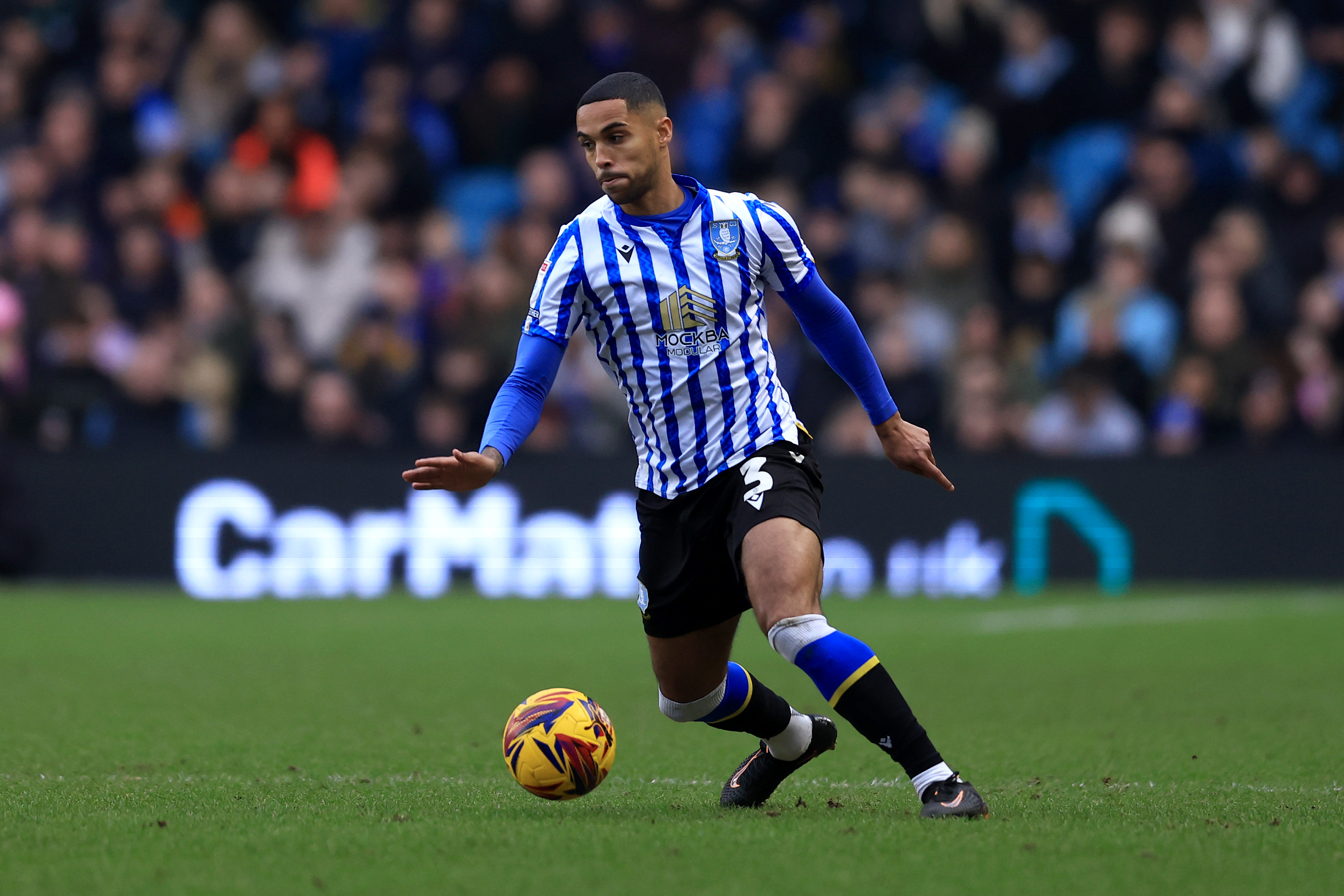 Sheffield Wednesday contract walkout latest as Max Lowe makes major ...