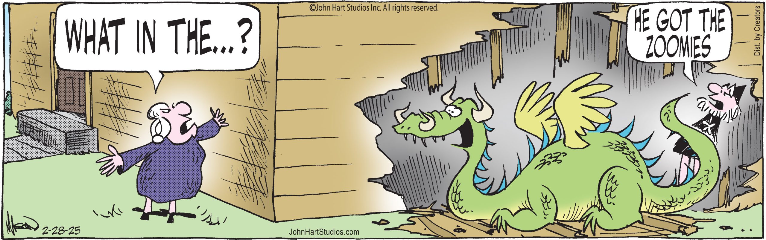 "Wizard of Id" by Brant Parker and Johnny Hart