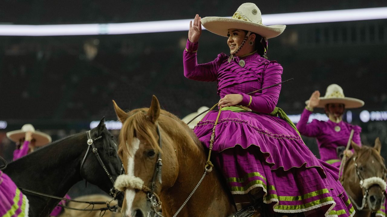Guide to the Houston Livestock Show and Rodeo