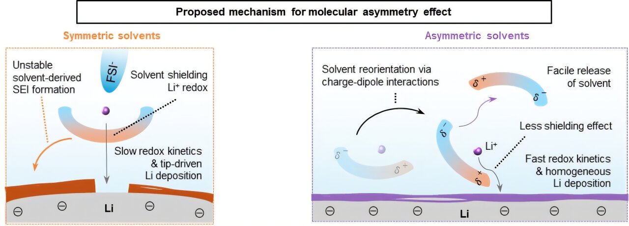 Asymmetric ether solvents enhance Li-metal battery charging and stability