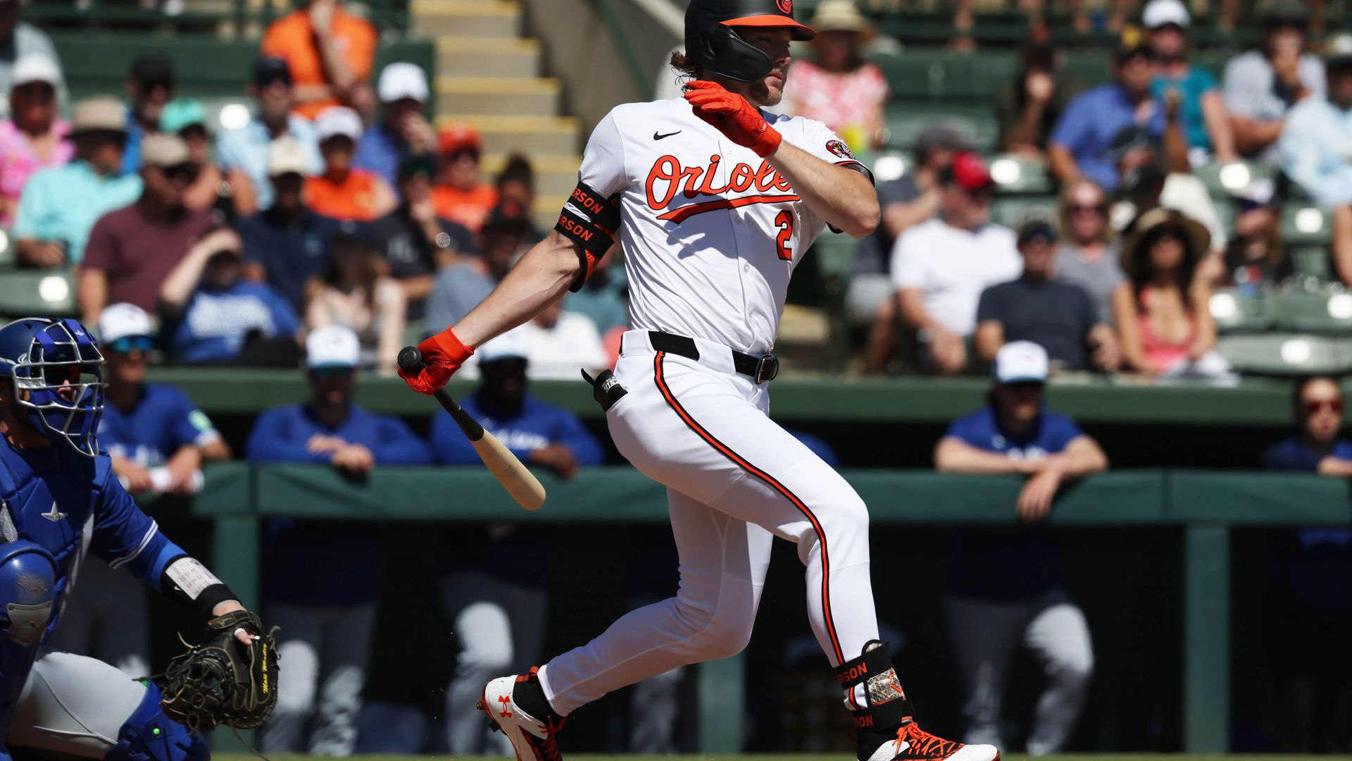 Friday Bird Droppings: We’re holding our breath about Gunnar’s injury