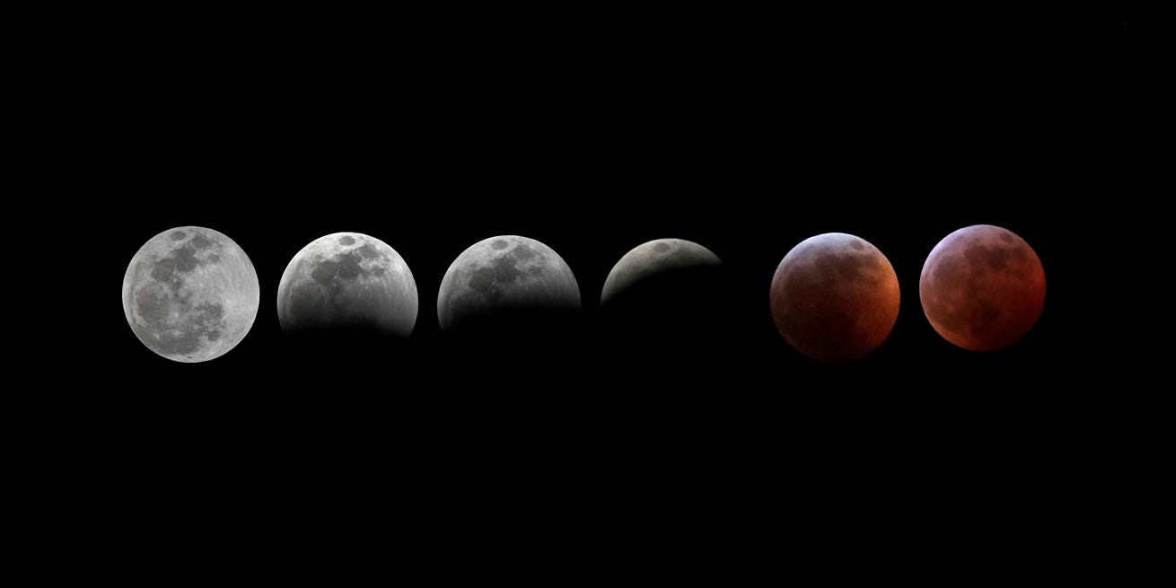 A total lunar eclipse is tonight in Tallahassee. Here is a final ...
