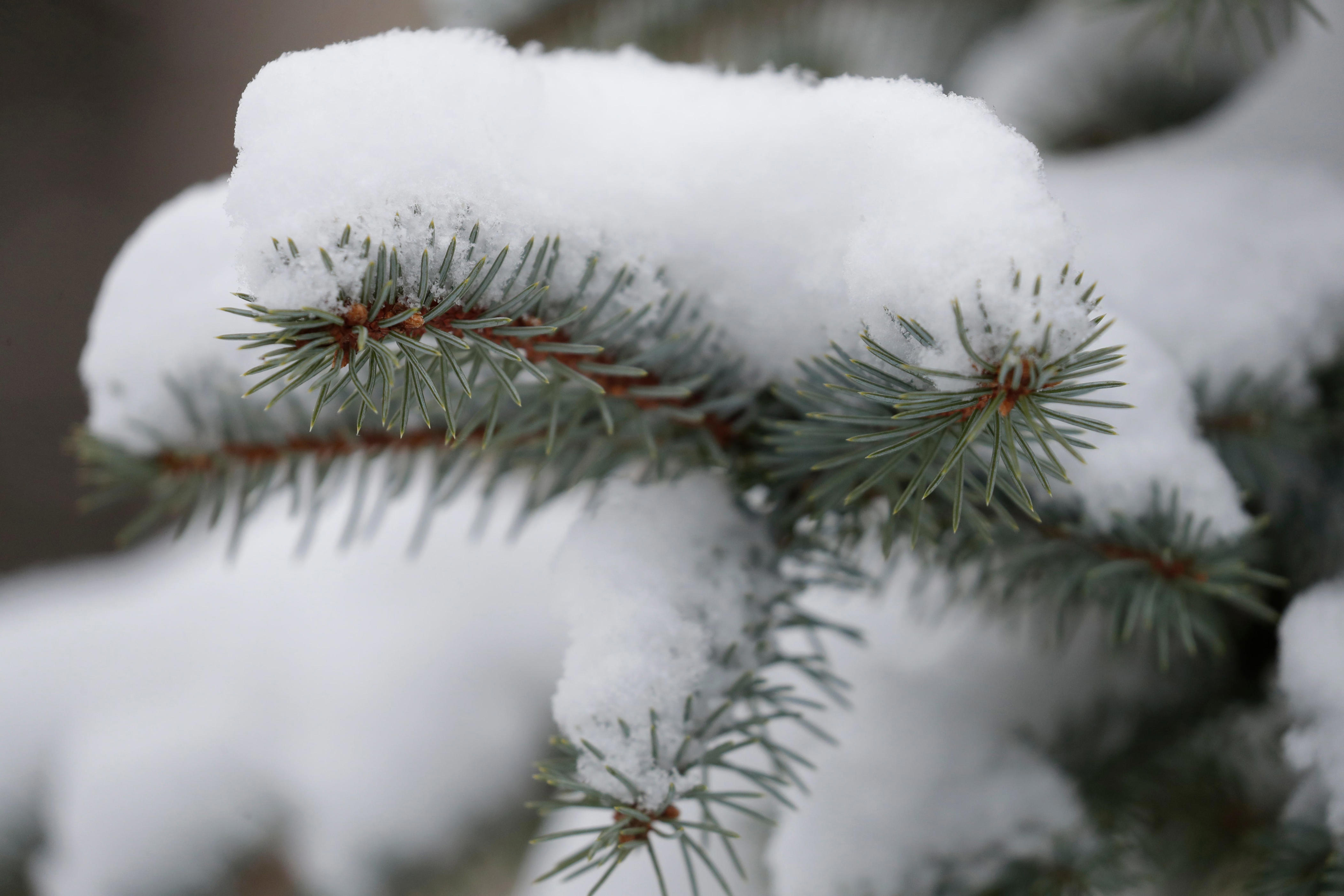 How much snow did the Appleton area get in February, and what should it ...