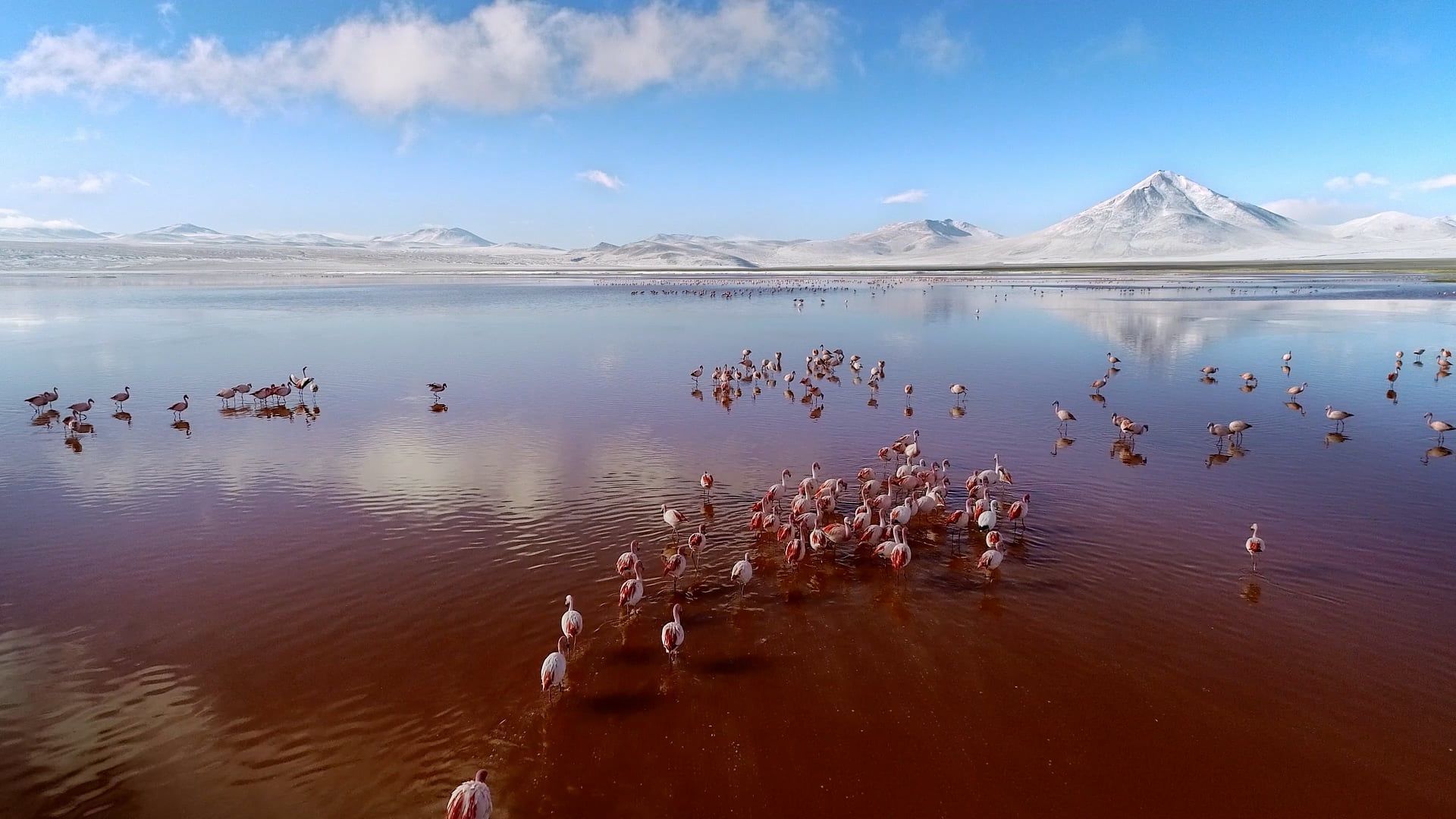 Laguna Colorada: Boliviens Roter See aus der Vogelperspektive