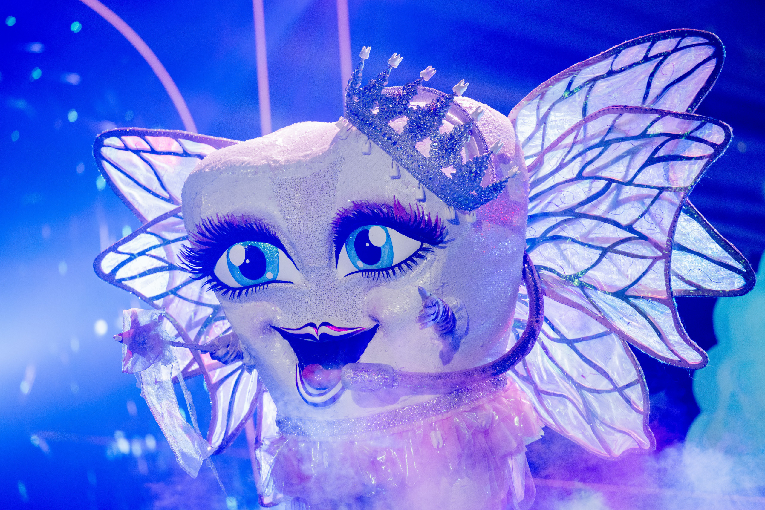 Facts about teeth that will shock you