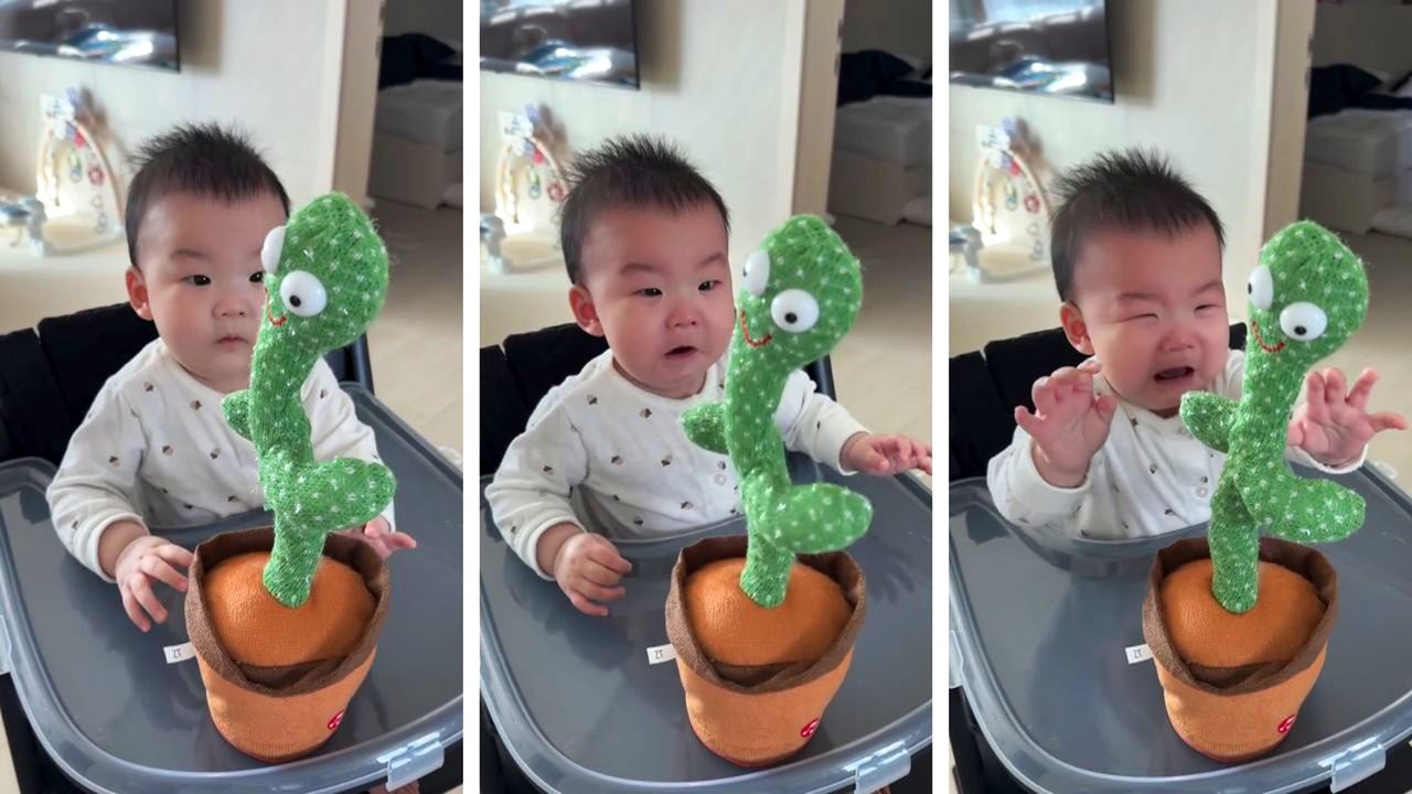 Baby doesn't find voice-imitating cactus toy funny at all