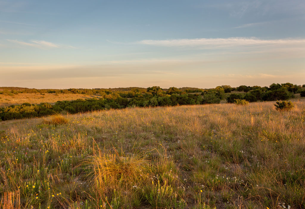 Owners of massive ranch outside Austin ink deal with city to prevent ...
