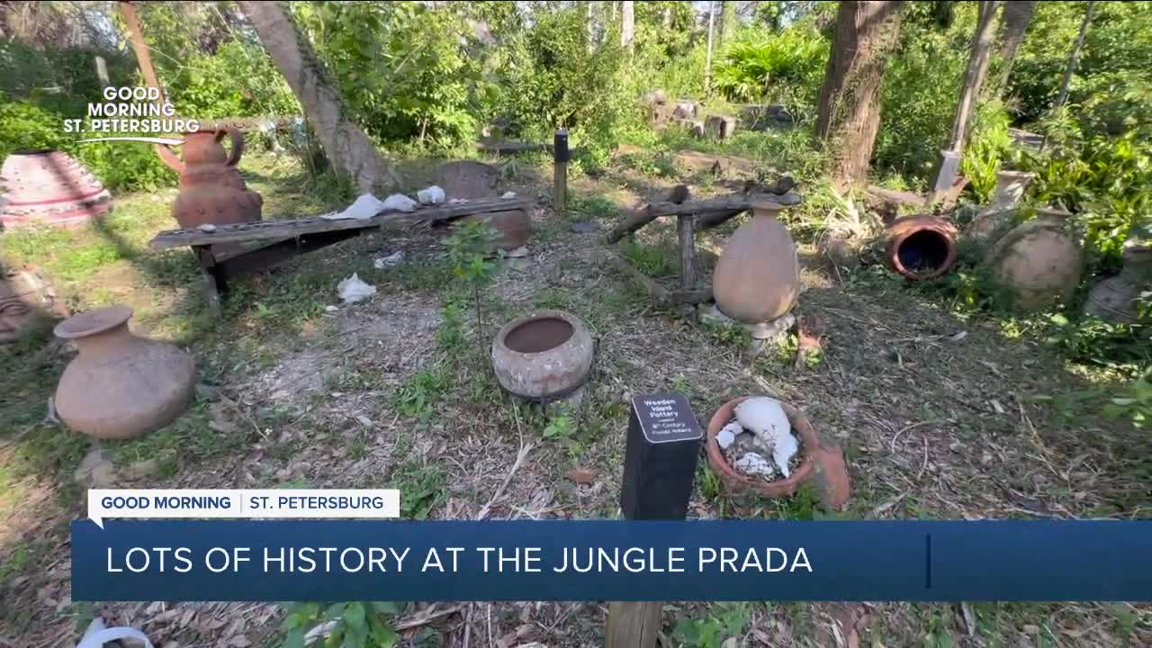 Jungle Prada tour offers glimpse into St. Petersburg's Tocobaga history