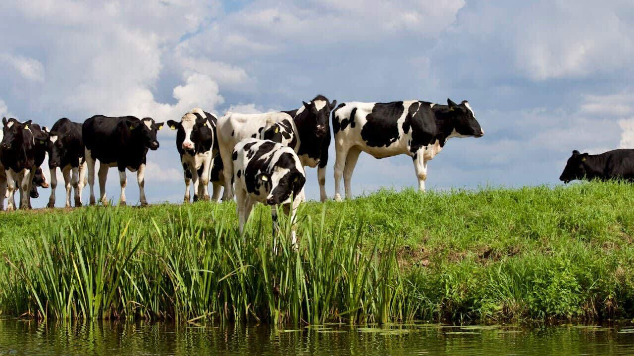 Northwoods congressman tries again with Farm Act Northwoods congressman tries again with Farm Act