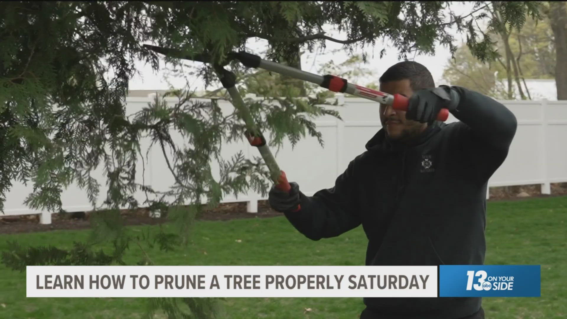 Why you should prune your trees this spring