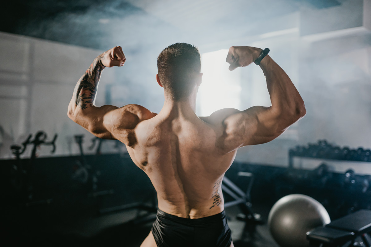 Sam Sulek Wins the Arnold Amateur, Earning His IFFB Pro Card